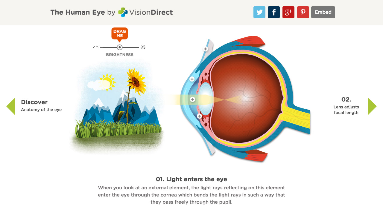 An Interactive Guide To The Human Eye - One Page Website Award